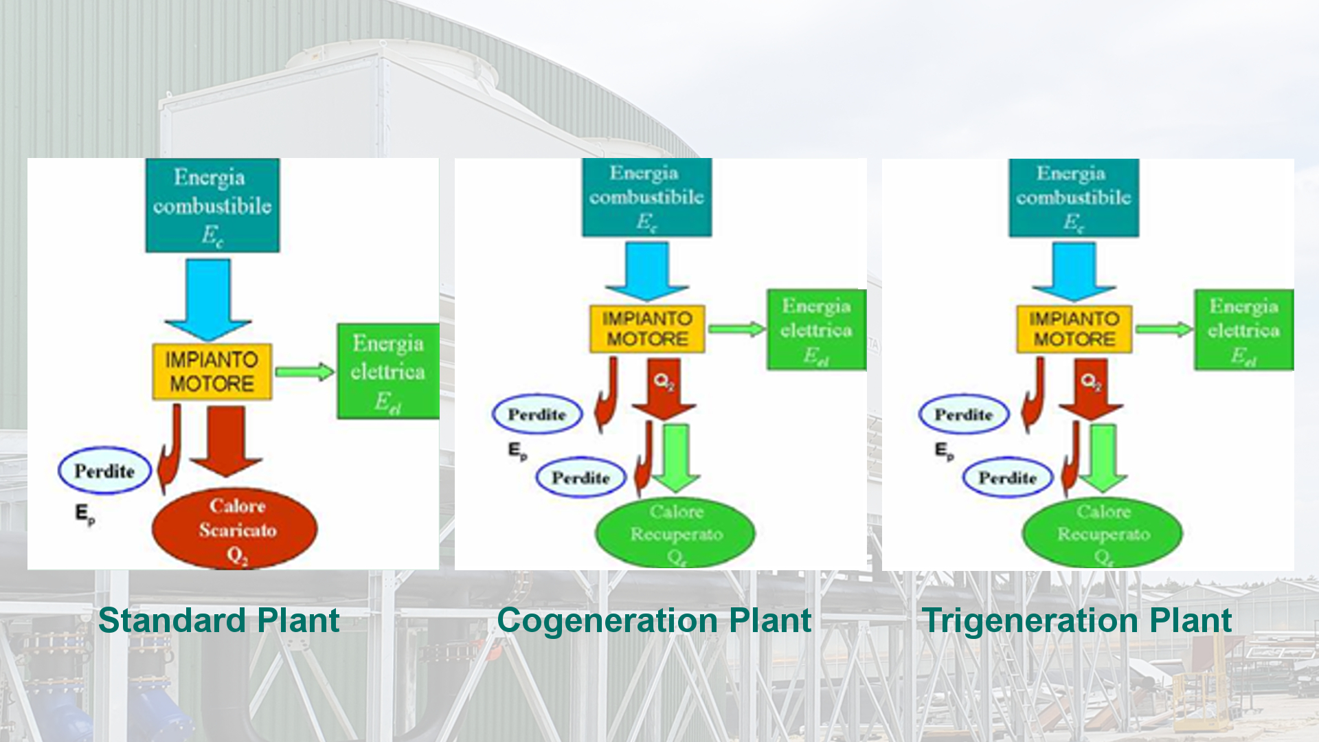 Cogeneration and Trigeneration Plants: the role of Cooling - MITA